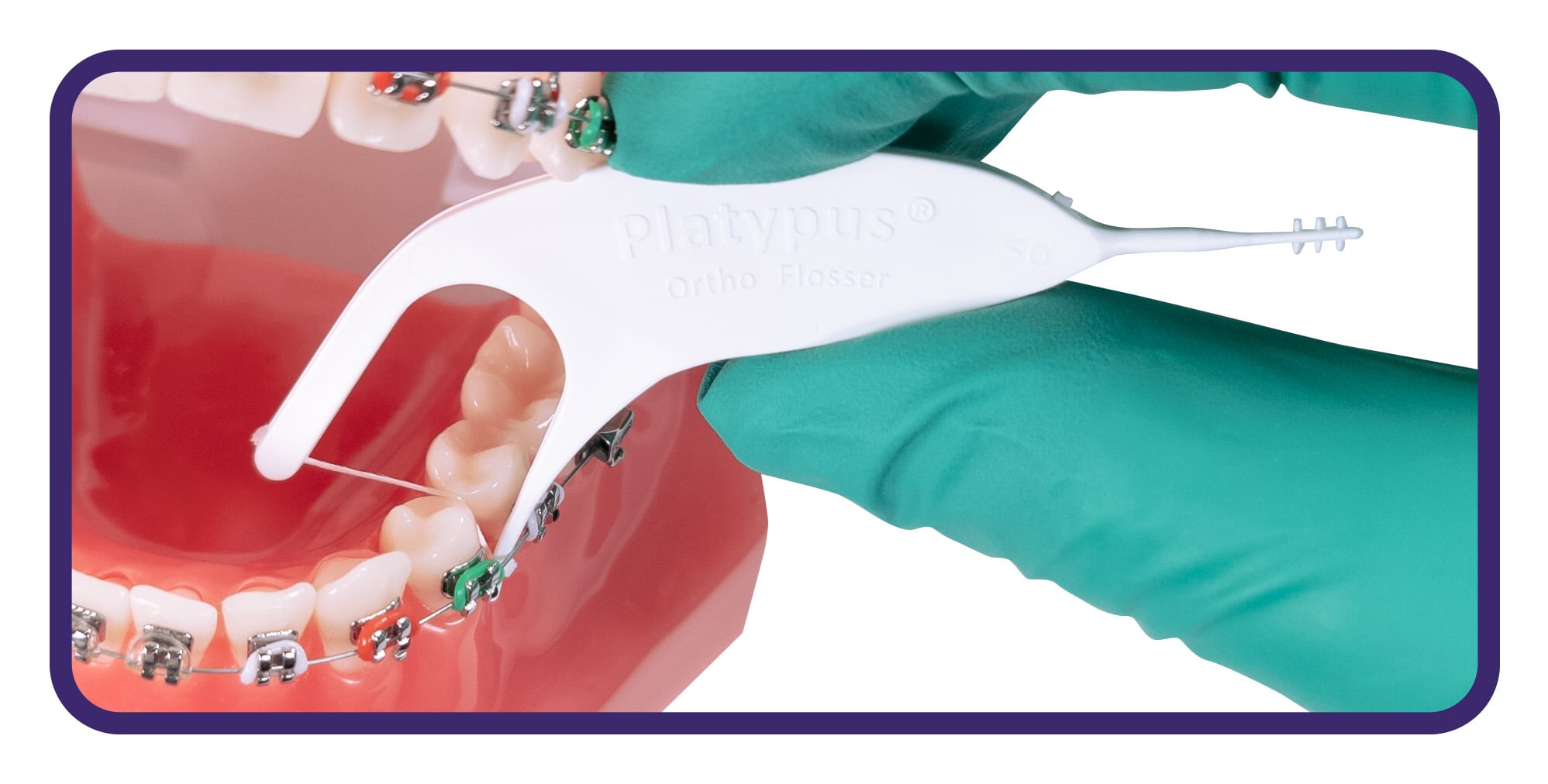 Plak Smacker Platypus Ortho Flosser (75 ct) - Young Specialties