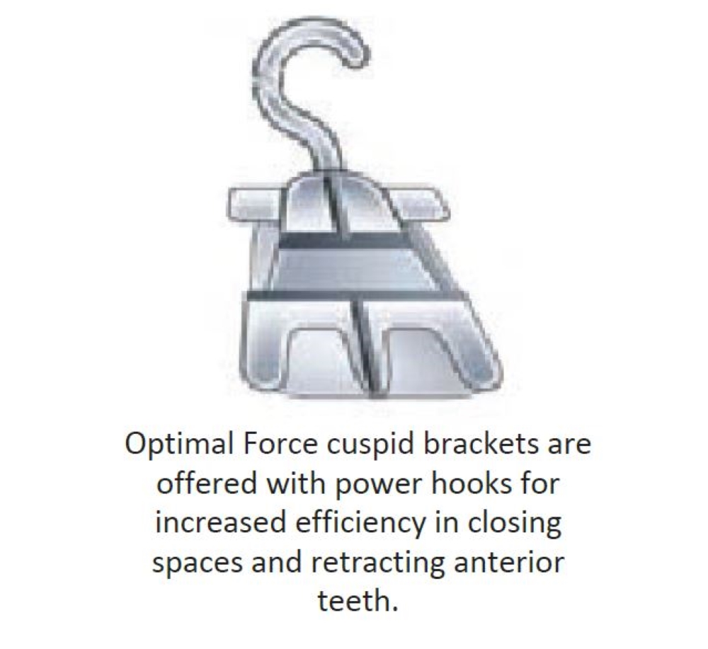 (Each) .022 Optimal Force Stainless Steel Bracket - Young Specialties